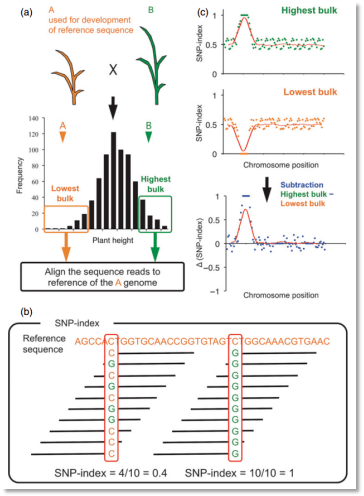 没看过这些文章，请不要尝试BSA定位 | 群体研究_方法