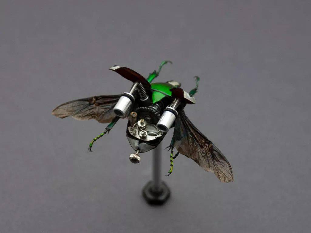 机械昆虫艺术家 Mike Libby-搜狐大视野-搜狐新闻