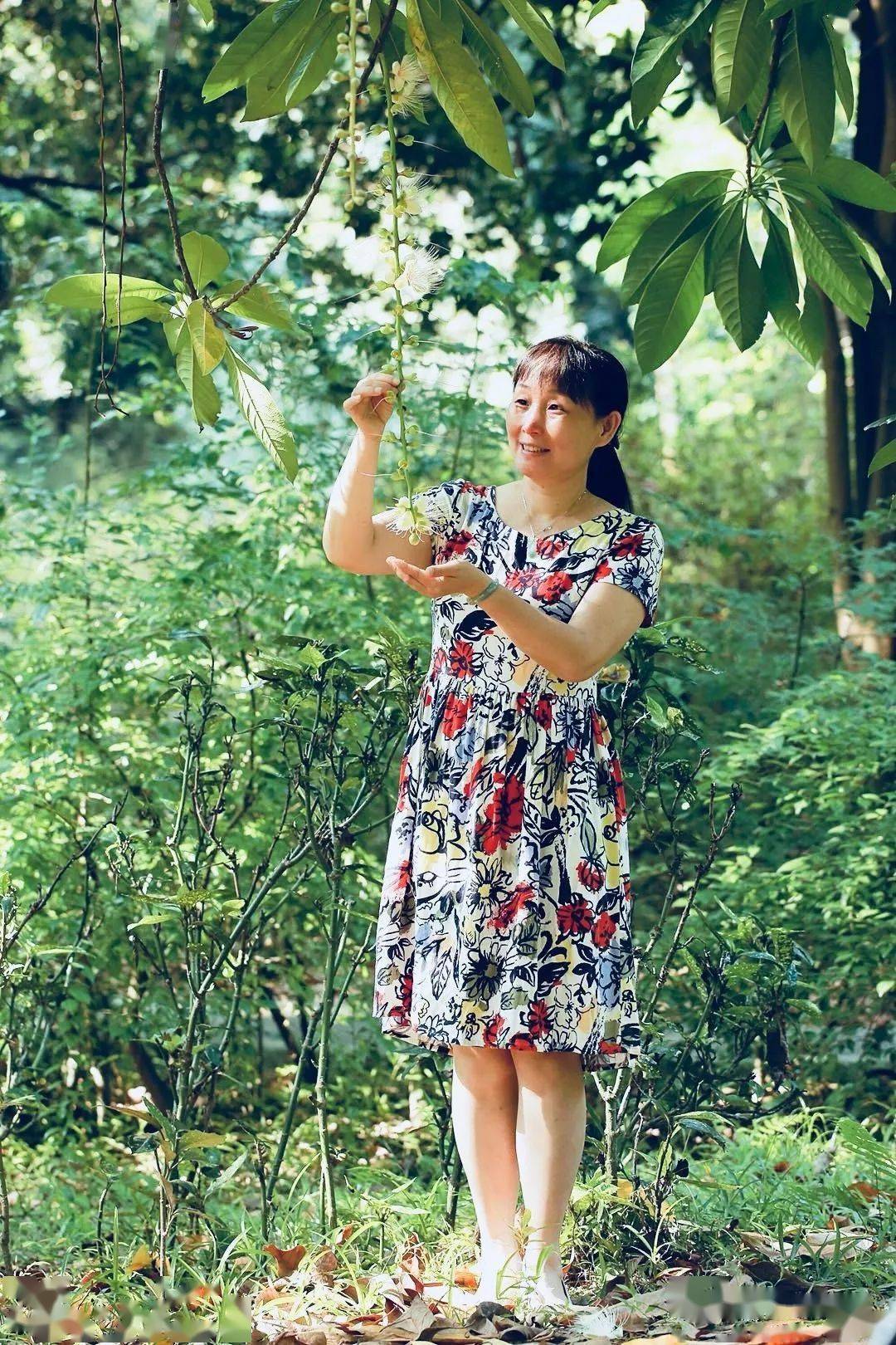 压花课程招募 静秋赏草木 花香添扇韵 搜狐大视野 搜狐新闻