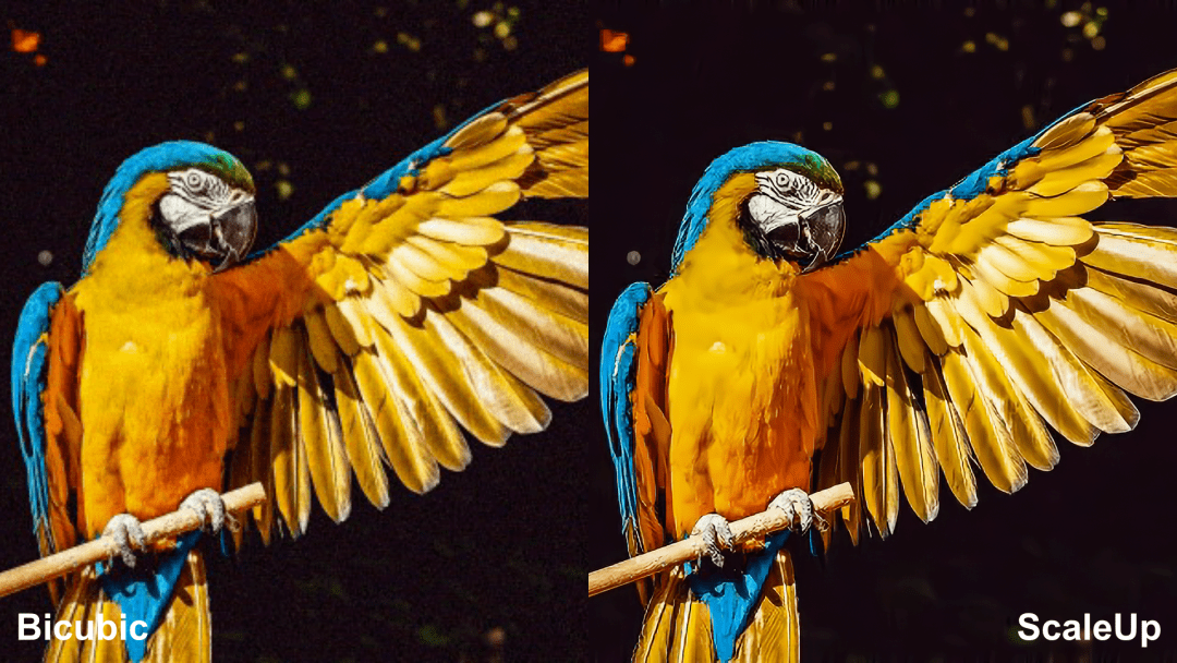 中文汉化AE/PR插件-人工智能AI视频无损放大插件Aescripts ScaleUp V1.0 WIN破解版_图像