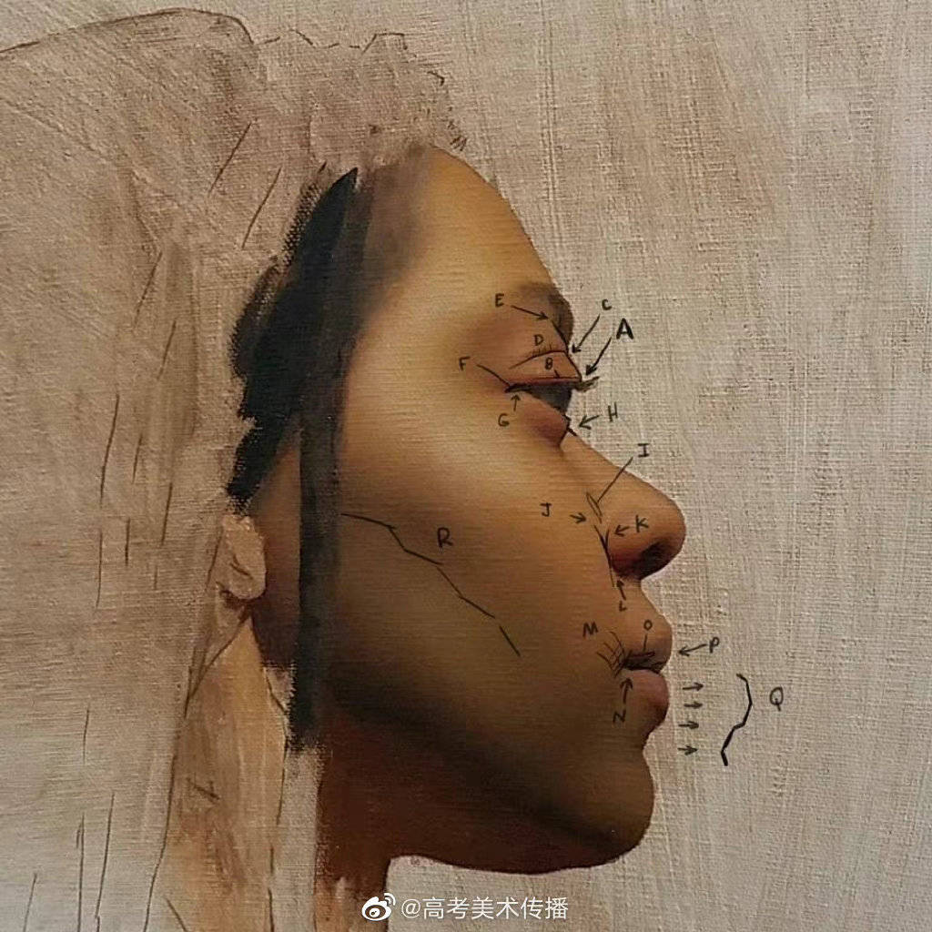 肤色的秘密~ · Scott Waddell -搜狐大视野-搜狐新闻