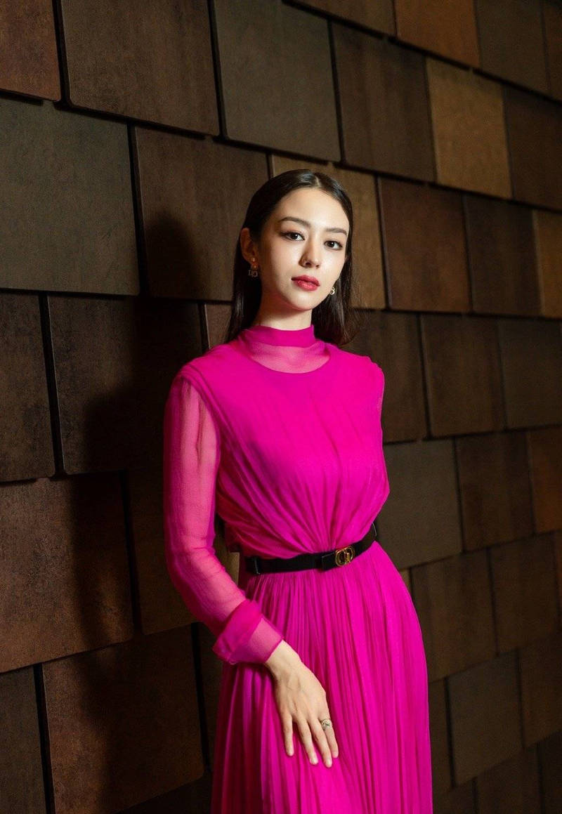 吉娜玫红礼服造型摩登时尚 大秀美背细腰眼神锐利-搜狐大视野-搜狐新闻