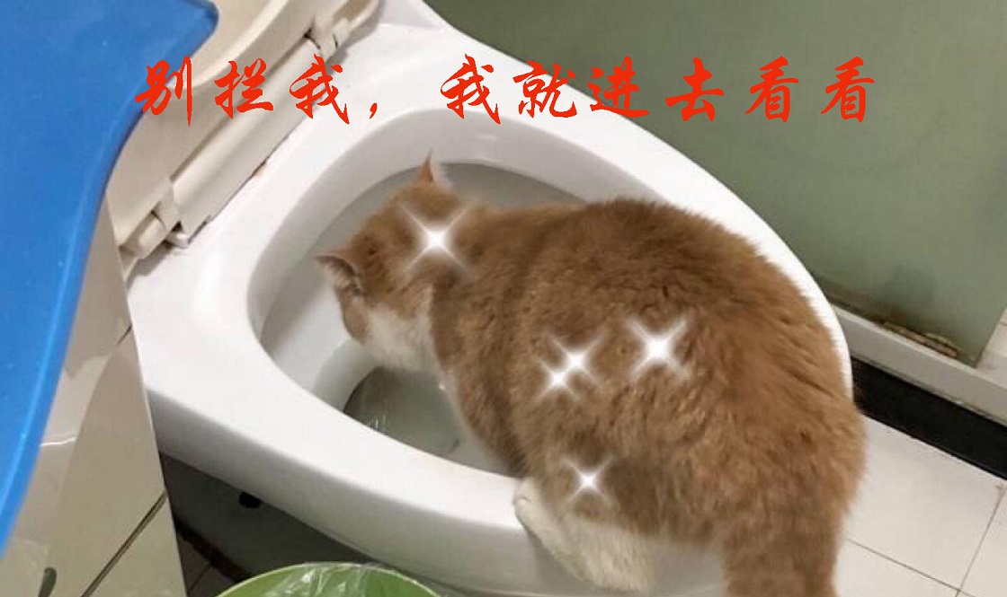 去厕所别再说成go to WC啦，WC的意思其实是……_nose