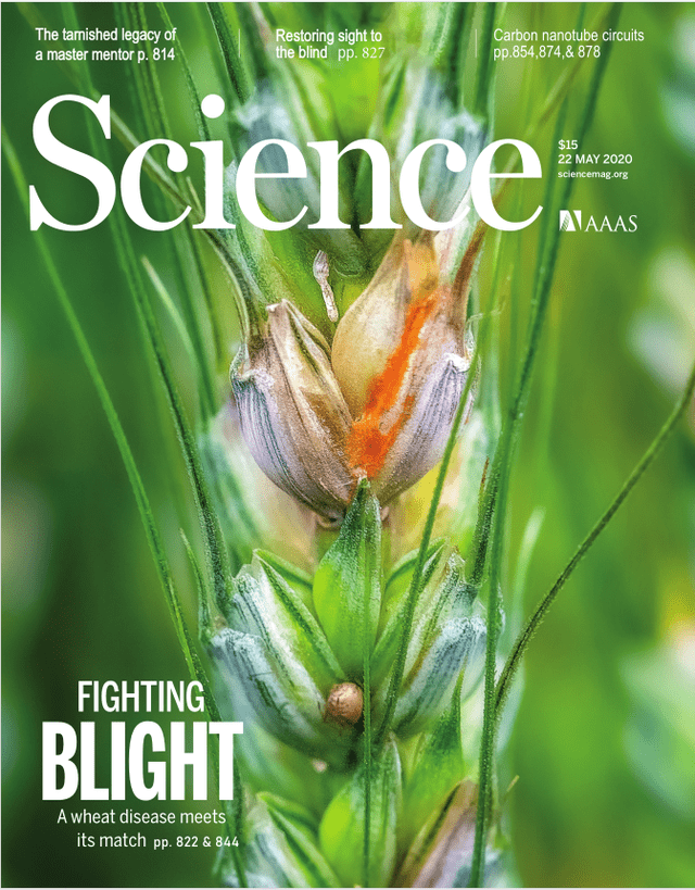 单月新增18篇！内地高校5月份Nature & Science发文亮眼_during