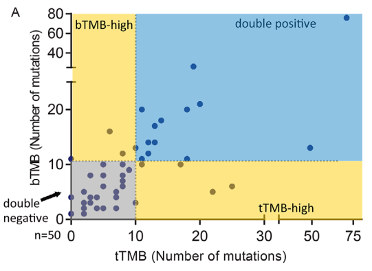 科研创新！世和基因专利喜获国家知识产权局授权！_检测