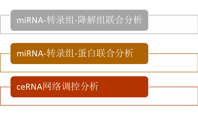 干货 | 为什么推荐你做降解组测序？（一）_miRNA