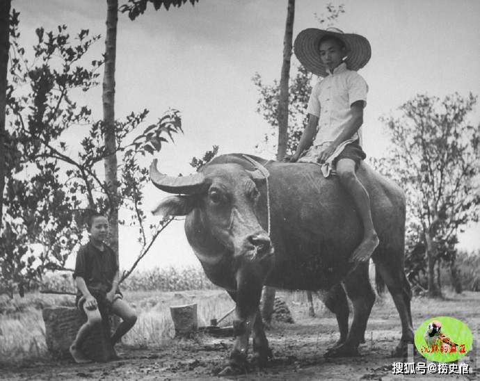 民国时成都龙泉驿，百姓生活看上很不错-搜狐大视野-搜狐新闻