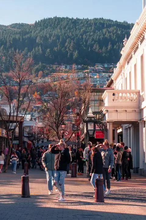 厉害了！BLIS 荣获新西兰国家级品质—FernMark 银蕨认证-搜狐大视野-搜狐新闻