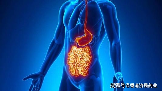 布地奈德胶囊(Budesonide)治疗克罗恩、IgA肾病效果怎么样?_药物
