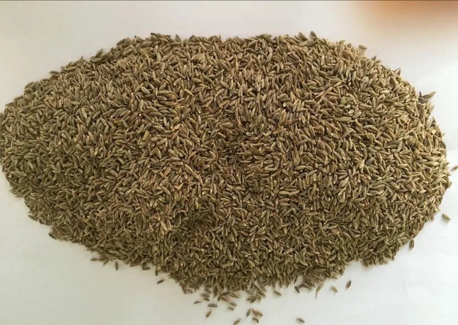 只有这样使用孜然才能发挥最大味道很多人都用错了_香气