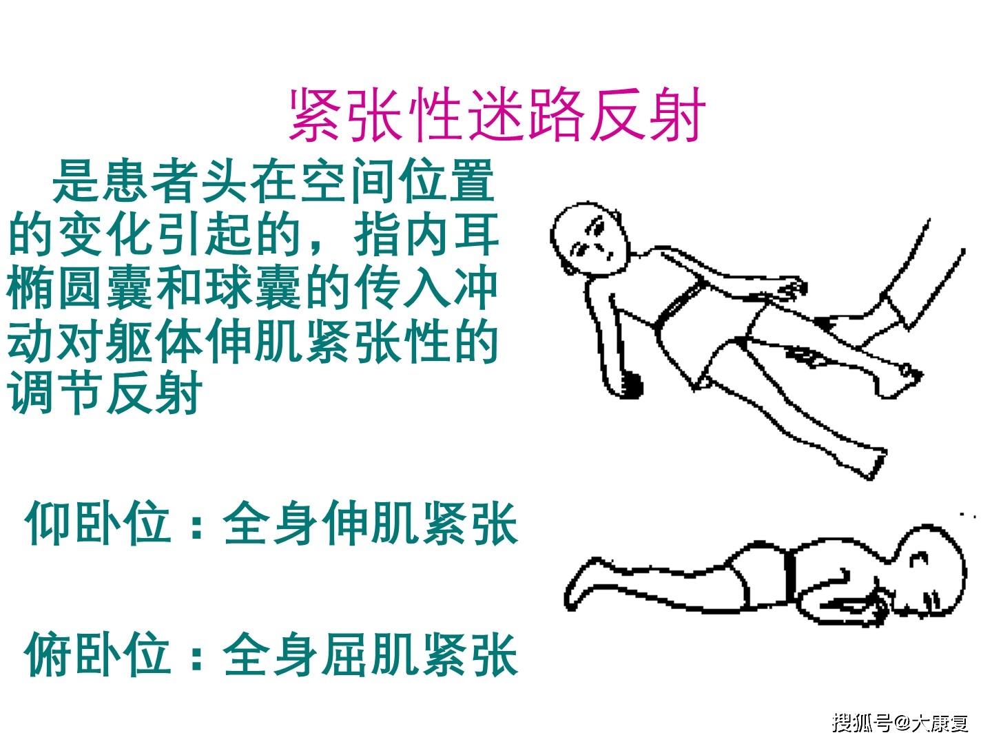 Brunnstrom技术_运动