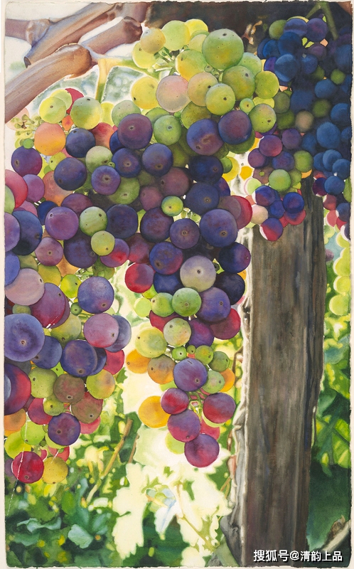 美国画家Cara Brown水彩画作品选集-搜狐大视野-搜狐新闻