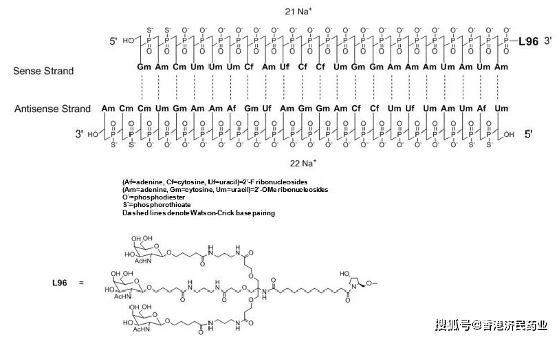 原发性高草酸尿1型新药Oxlumo（Lumasiran）中文说明书_剂量