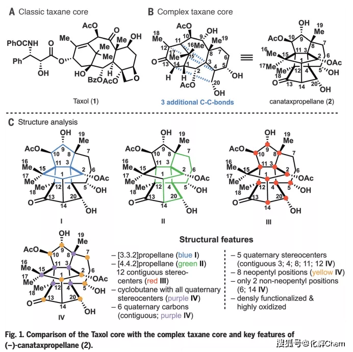 Tanja Gaich《Science》紫杉醇二萜Canataxpropellane的全合成_分子