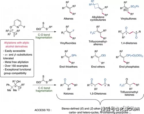 【大家】Samir Z. Zard ｜ 专注于自由基、有机硫衍生物等研究_acs
