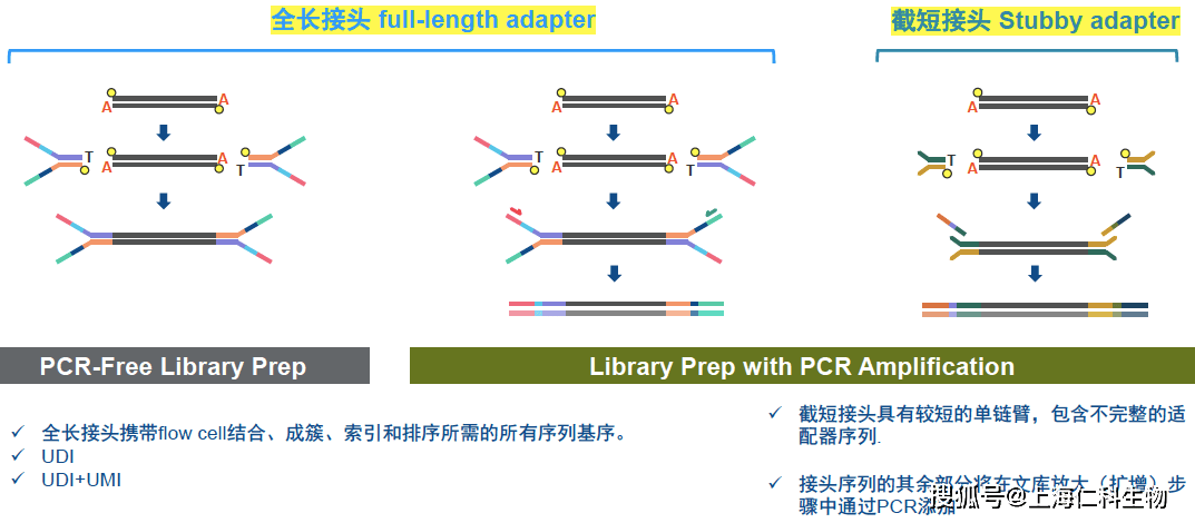 在NGS击剑场中，IDT何以“精准而优雅”（上）_index
