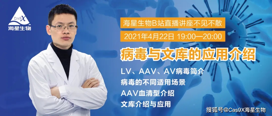 MEM、MEM-EBSS、MEMα 如何区分？？？_培养基