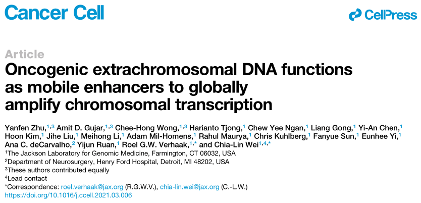 Cancer Cell研究新进展：eccDNA调控癌基因转录_EccDNA