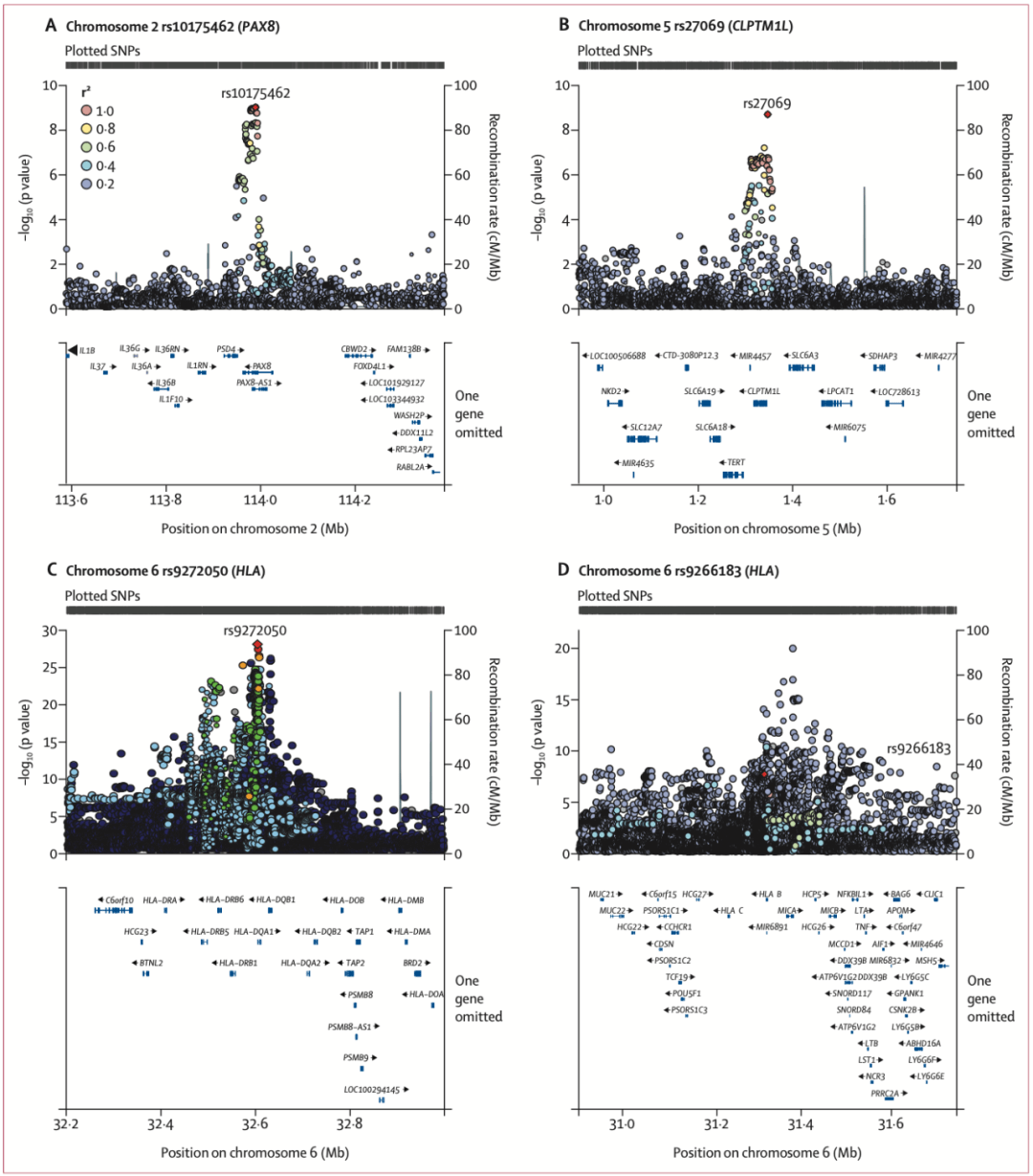 大规模GWAS研究发现，与免疫相关的HLA基因变异与宫颈癌有关_发展中国家