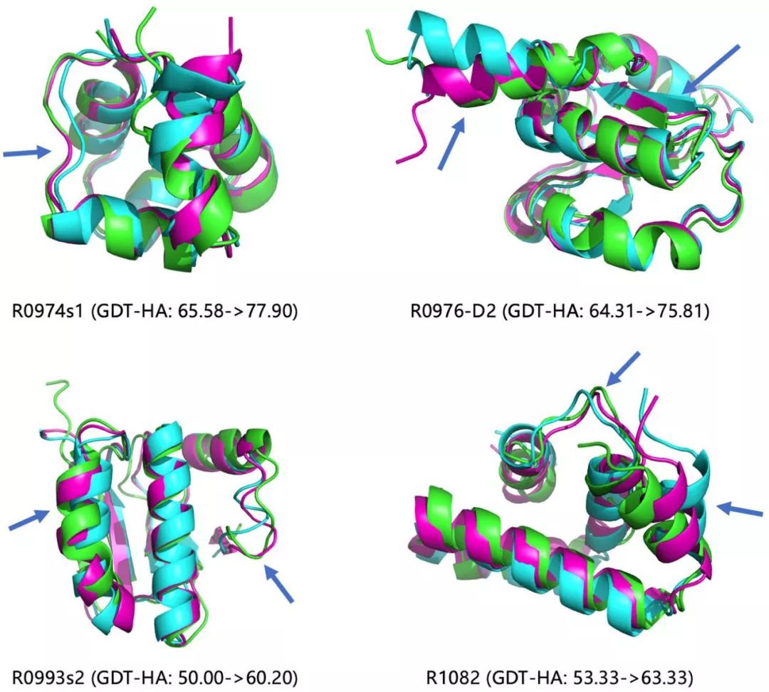Nat. Comput. Sci. | 深度图神经网络有效加速蛋白模型优化_方法