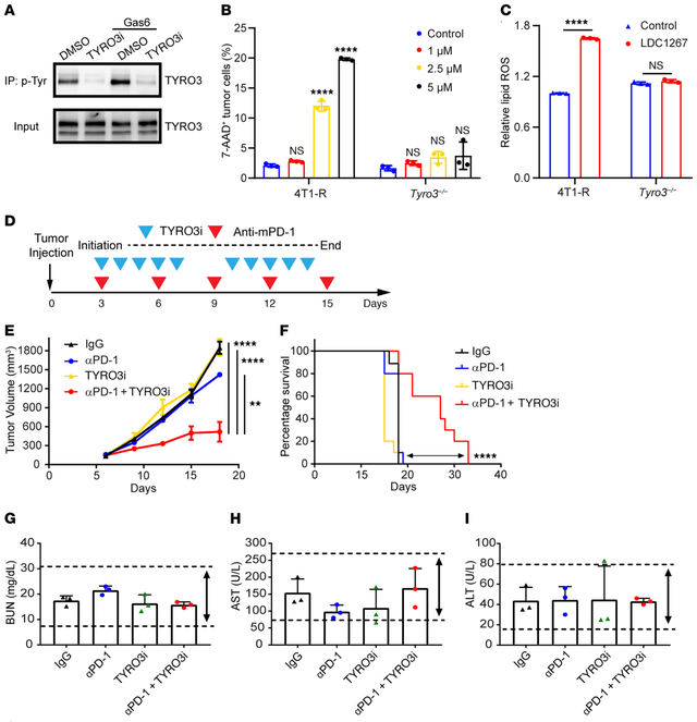「精品导读」骚死了，这死掉的肿瘤细胞_Tyro