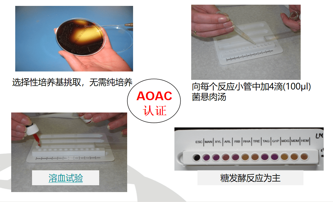 GB4789-30-2016 单核细胞增生李斯特氏菌检验检验及注意事项_菌落