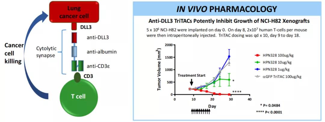 研究报告 | 靶向DLL3药物在研现状_细胞