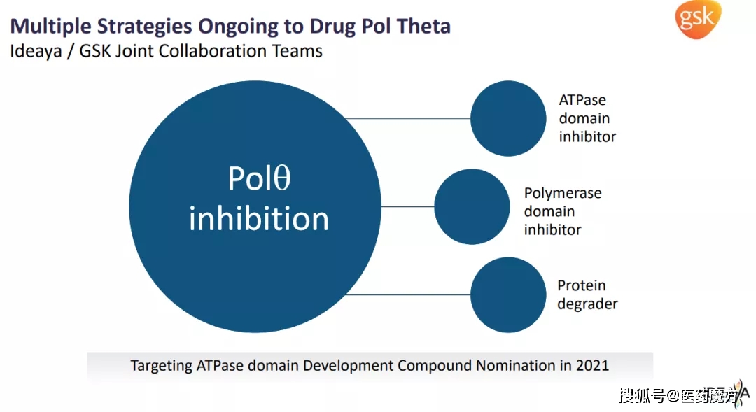 实力靶点Polθ：潜力迸发，巨头入局_同源