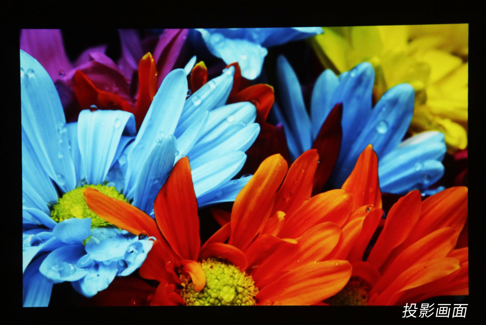 泰捷首款投影来袭，WEBOX T1画质媲美3000元投影_视频