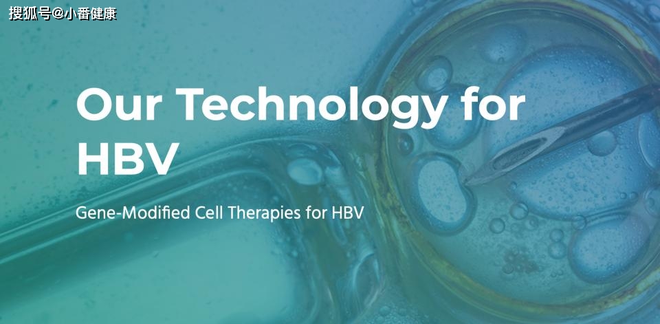 在研乙肝新药ENOB-HB-01，收到FDA书面回函，鼓励继续开发_药物