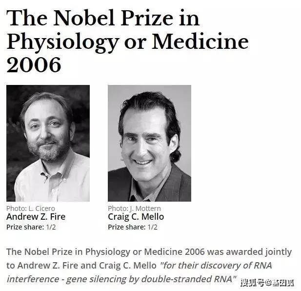 经验分享：基因治理途径之RNA干扰(RNAi)简介_siRNA_疗法_沉默