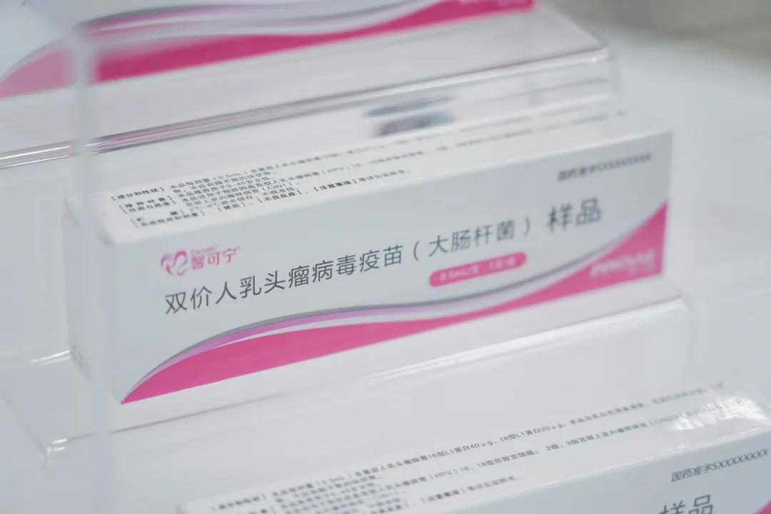 快讯！海沧区召开新闻发布会！_发展_产业_现有企业