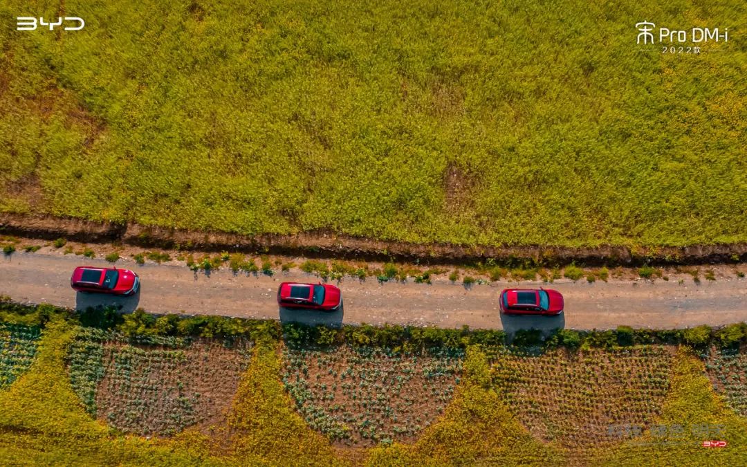 国潮轻奢丨大五座比亚迪SUV—2022款宋ProDM-i上市发布会_搜狐汽车_搜狐网