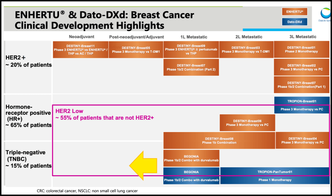 HER2 ADC：DS8201中国递交BLA，纳入突破性疗法 ;荣昌业绩大涨_药物_Enhertu_细胞