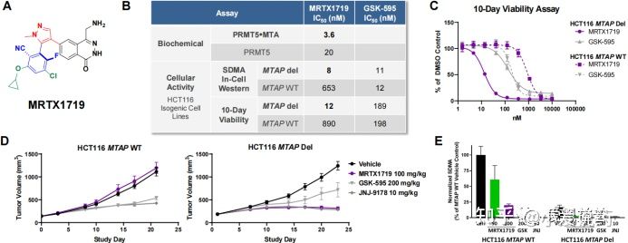 挑战DDR靶点之PRMT5|靶点筛选|安全靶点筛选|酶学检测|药物研发服务_合成_临床_基因