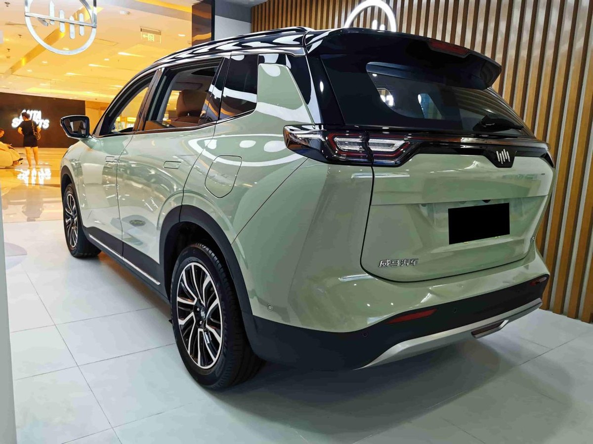 科技赋能的纯电中型SUV，威马W6实拍简评，实力如何？_搜狐汽车_搜狐网
