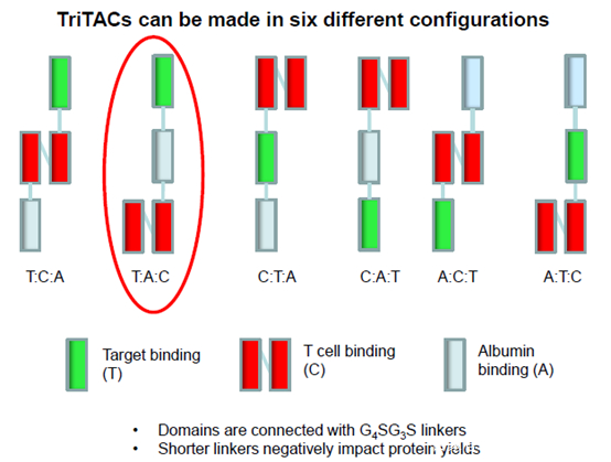 三特异性抗体研发现状_细胞_疗法_位点