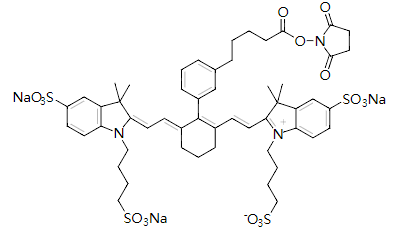 染料IRDye 750 NHS Ester/Maleimide/Carboxylic acid,活化酯/马来酰亚胺/羧酸_标记_in_荧光