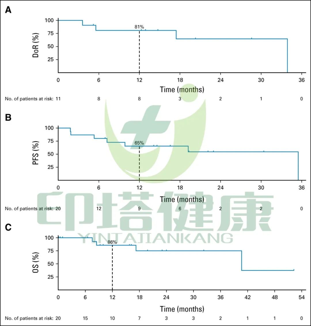 NTRK融合阳性肺癌靶向药拉罗替尼临床数据及不良反应_患者_治疗_基因
