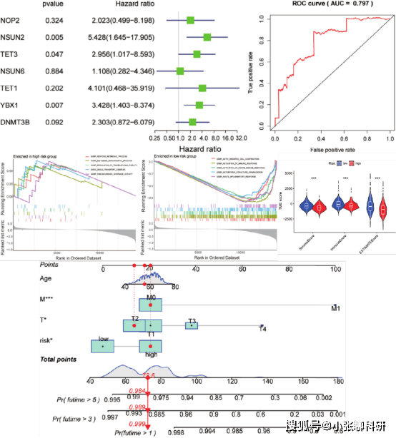 文献详解丨m6a的大兄弟m5C研究思路向你走来_基因_患者_免疫