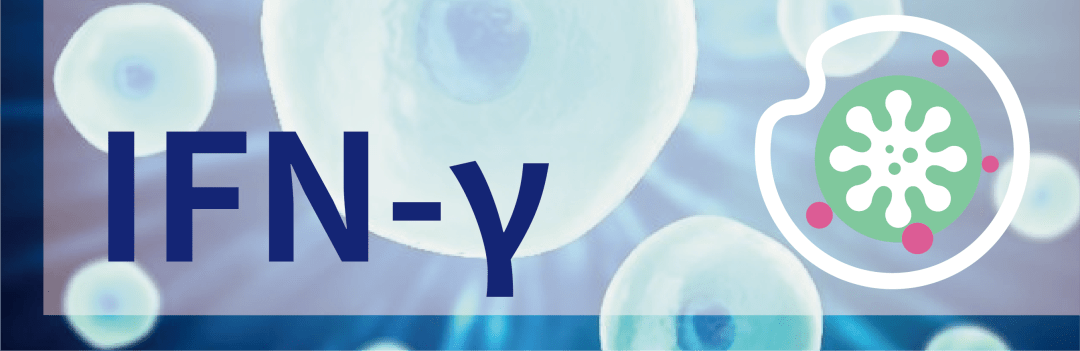 MED生物分析 | 评估细胞免疫效应——细胞因子IFN-γ和IL-2简介_诱导_反应_调节