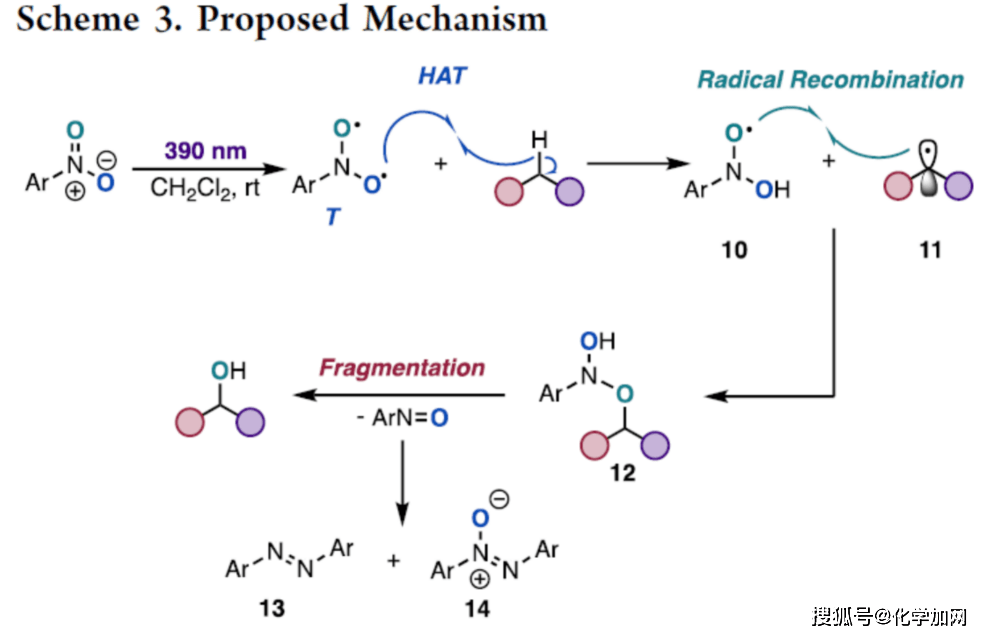 JACS：光激发硝基芳烃促进C(sp3)-H键的无氧羟基化反应_氧化_产物_Chem