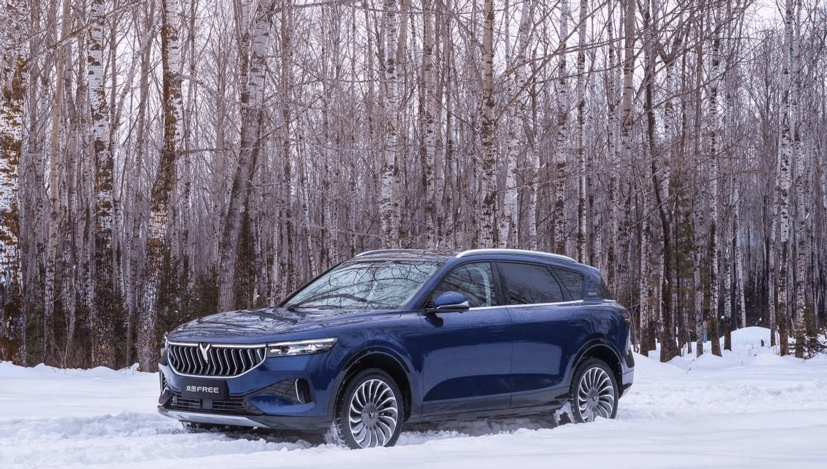 岚图FREE开启新一轮OTA升级，4.4秒破百，新能源大五座SUV首选？_搜狐汽车_搜狐网