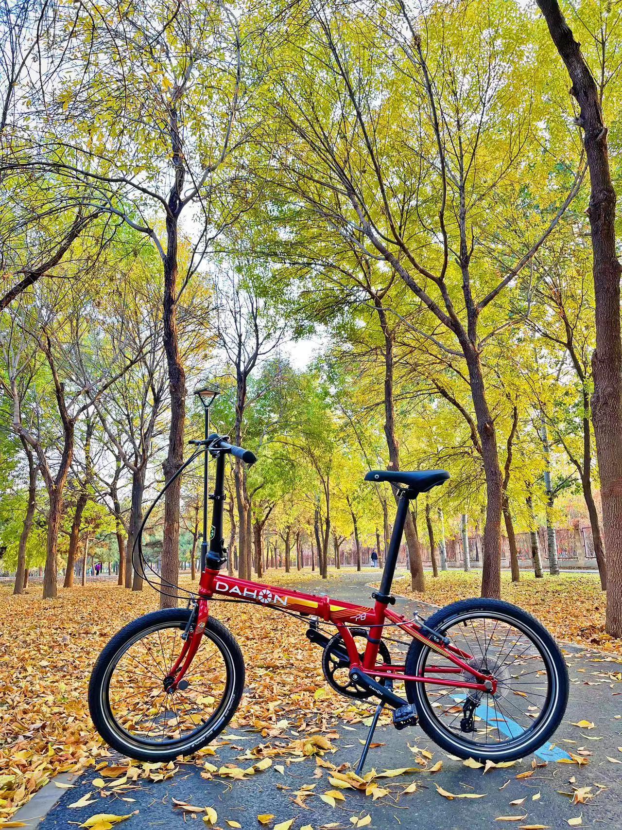 DAHON | 大行 40周年纪念版P8「KBC083」· 穿梭灵动，折叠更丝滑_搜狐汽车_搜狐网