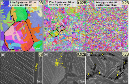日本京都大学《Scripta》：首次发现硼溶质对Ti-6Al-4V合金的细化机制！_菌落_边界_原子