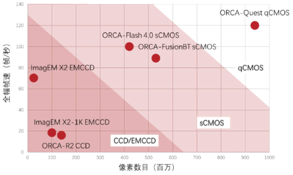 成像案例——滨松高速高灵敏度·背照·定量qCMOS相机