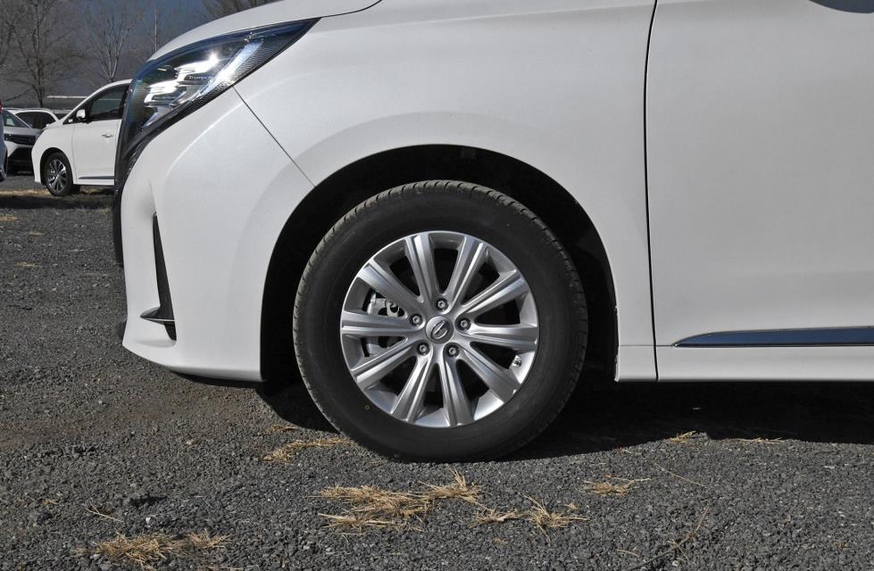 传祺“GL8”亮相！2.0T爆252马力，8AT＋双独悬，18万起_搜狐汽车_搜狐网