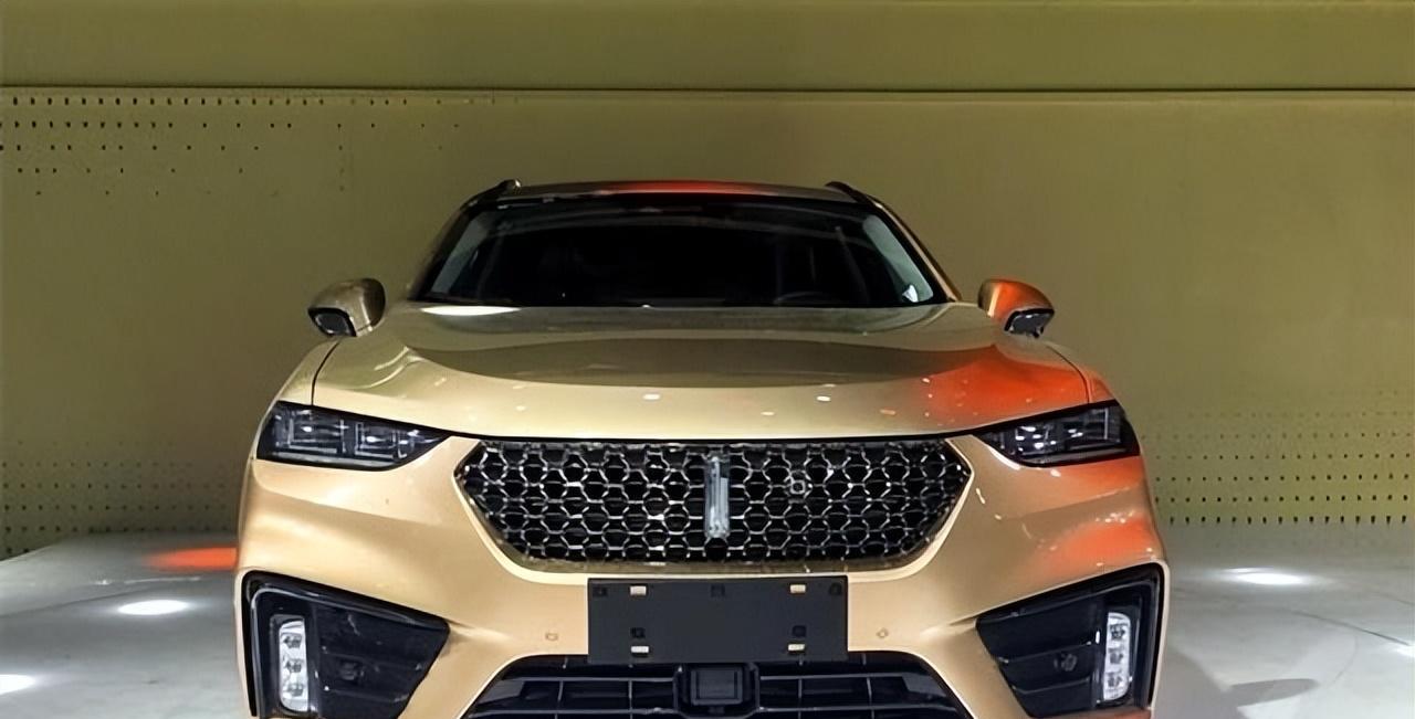 国产再添猛将T77Pro，性能不输哈弗H6，30日免费退换还终身质保_搜狐汽车_搜狐网