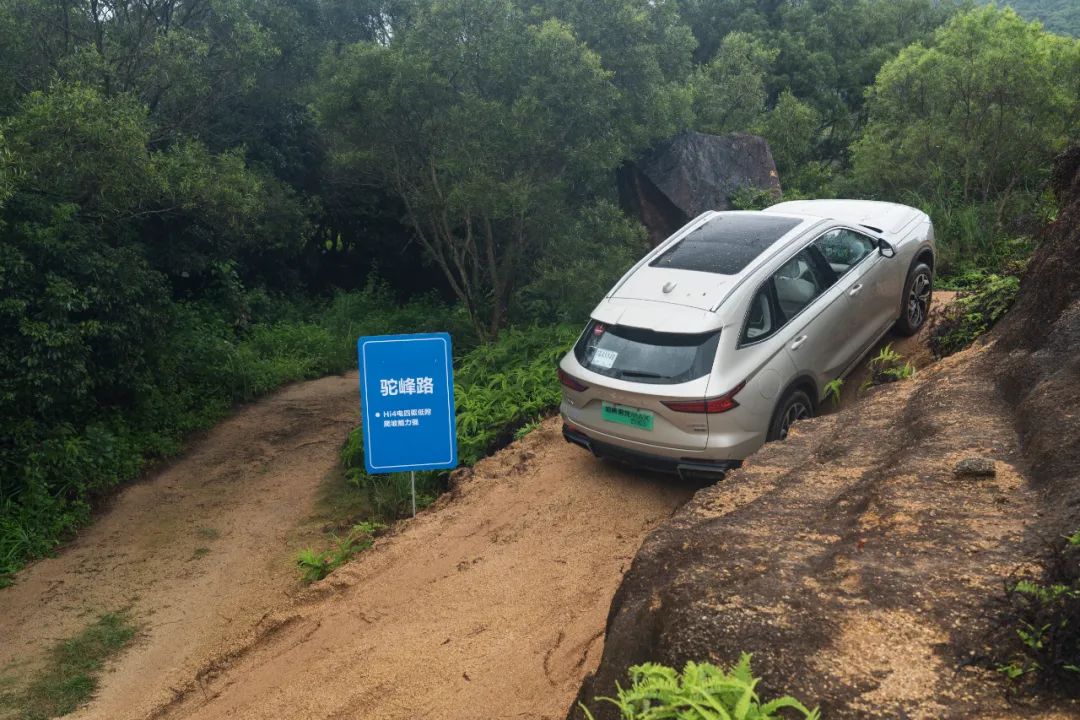 不到16万，四驱+iTVC智能扭矩控制，宋PLUS DM-i的对手来了！_搜狐汽车_搜狐网