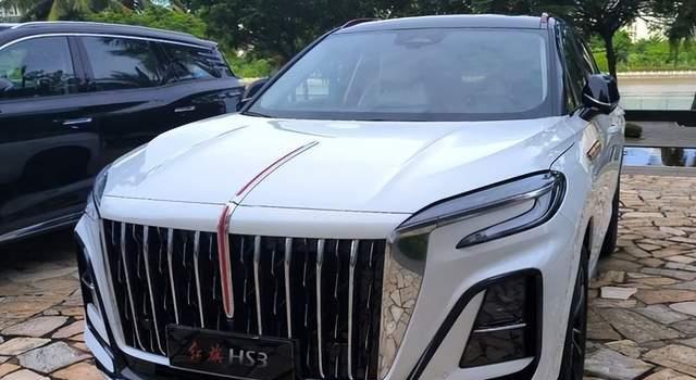 7月上市！红旗最便宜SUV取名HS3，顶配2.0T，有望10万起售_搜狐汽车_搜狐网